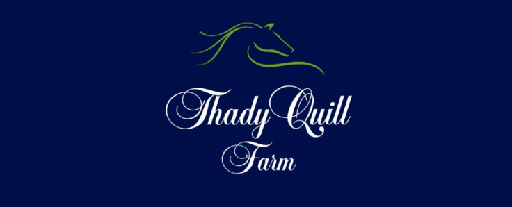 Thady Quill Farm – Forget Me Not Designs